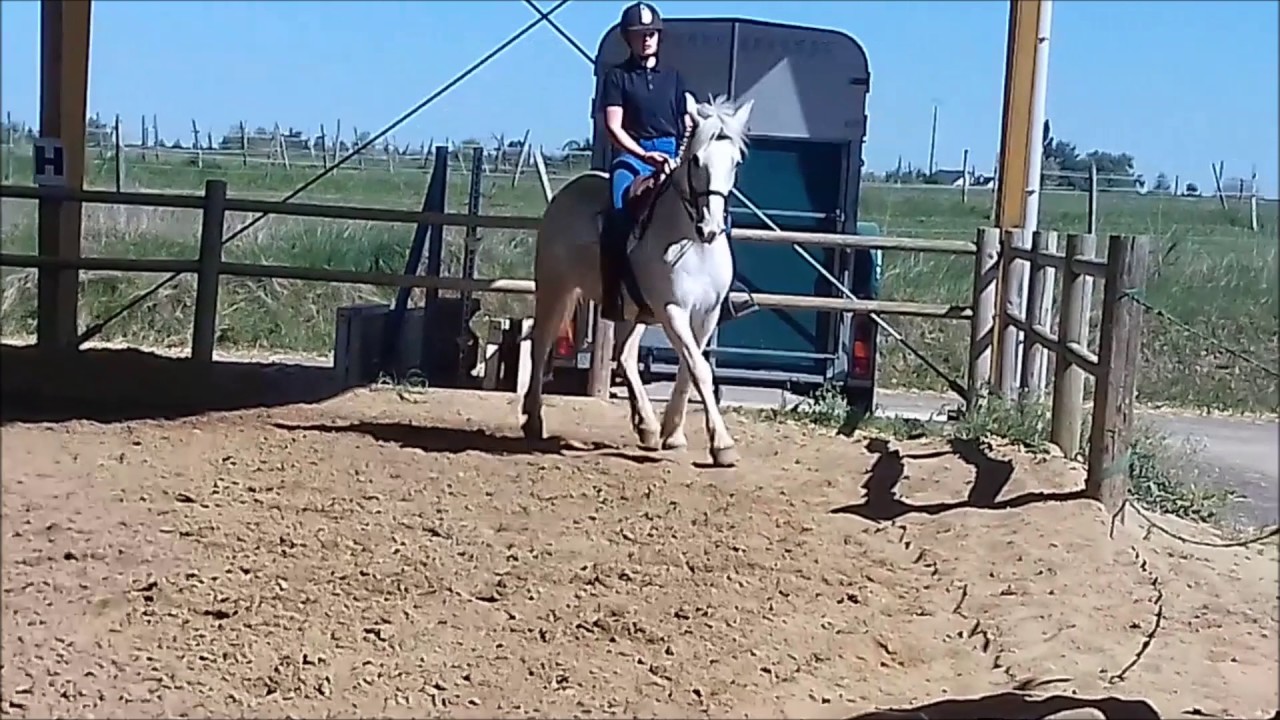 Examen du Galop 6 - YouTube