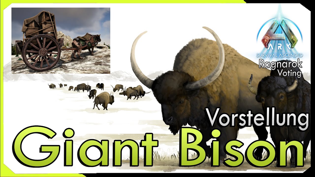 Giant Bison Ice Age Cattle | Vorstellung | Ragnarok Ascended Dino ...