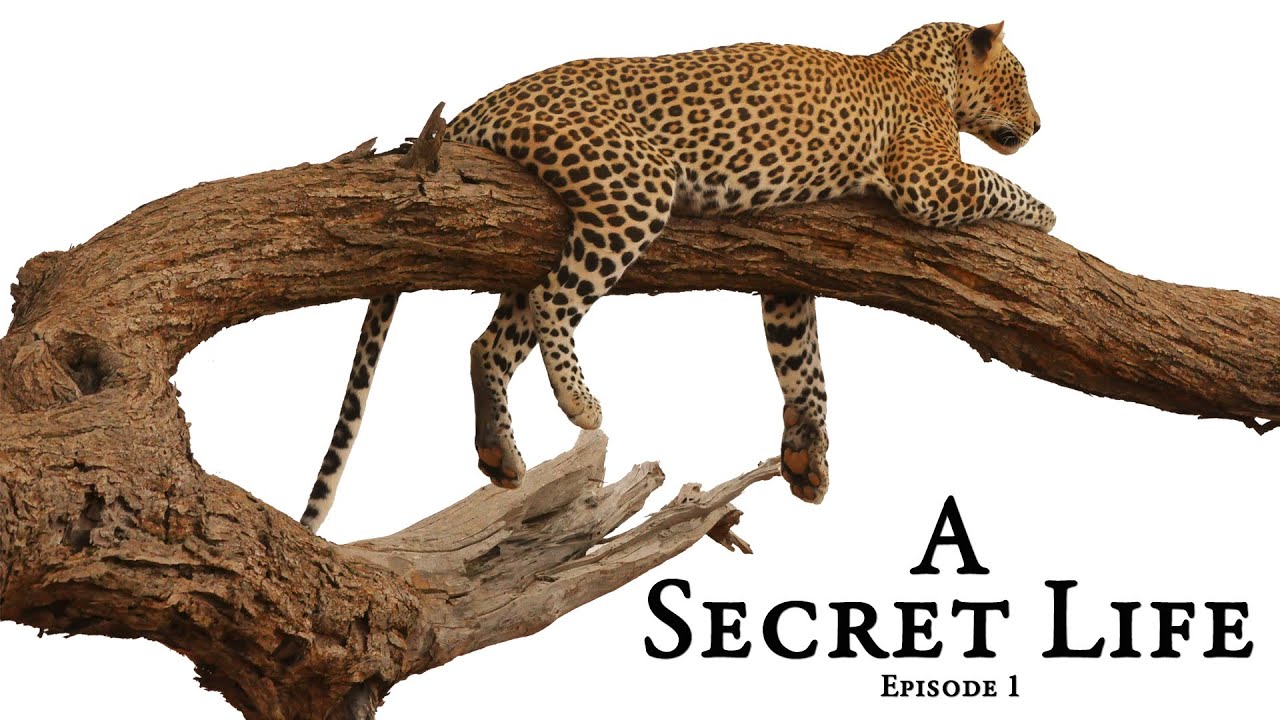 A Secret Life - Part 1 - YouTube
