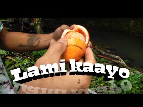 Santol bagon (Shipoh) - YouTube