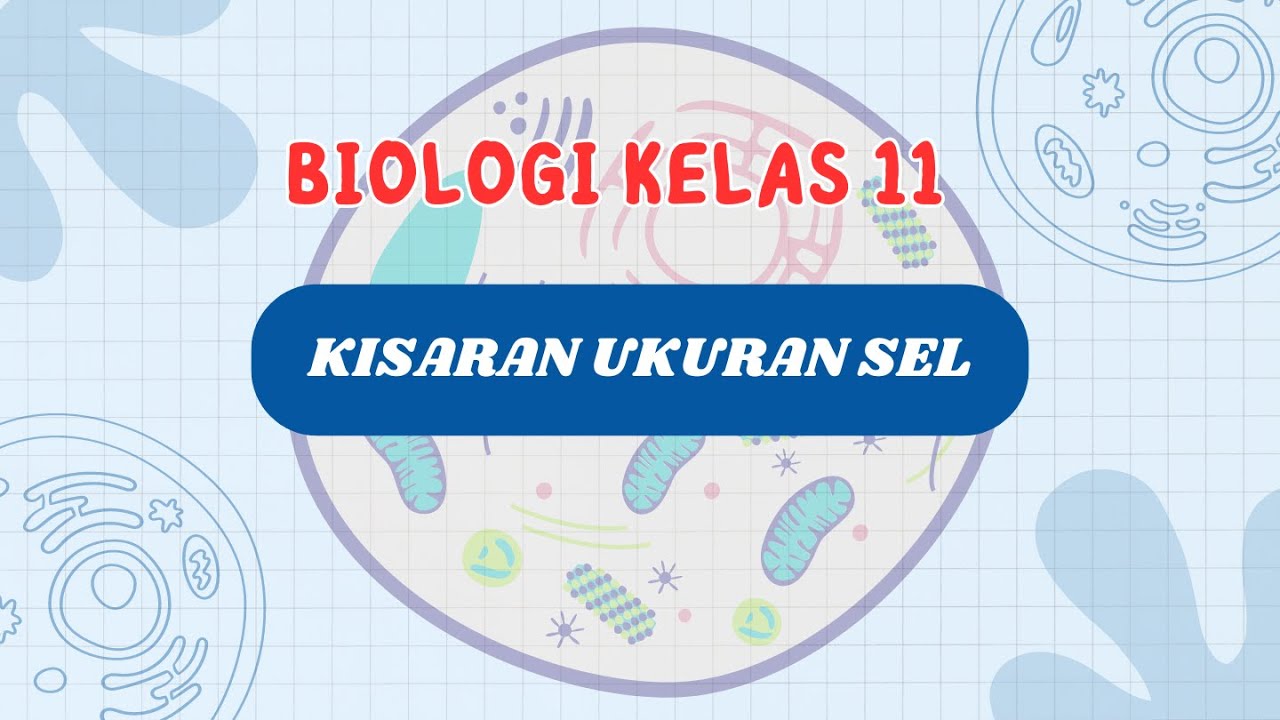 BIOLOGI Kelas 11 - Kisaran Ukuran Sel - YouTube