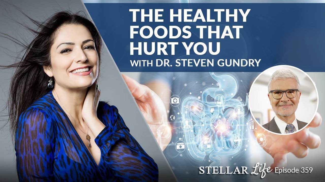 What to Eat for Gut Healing and Optimal Health With Dr. Steven Gundry ...