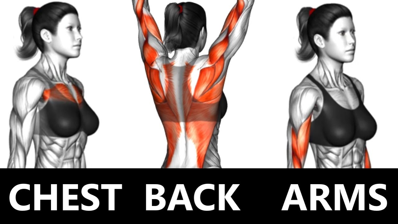 WOMEN WORKOUT | CHEST | BACK | ARMS | MUSCLE BUILDING WORKOUT | GYM ...