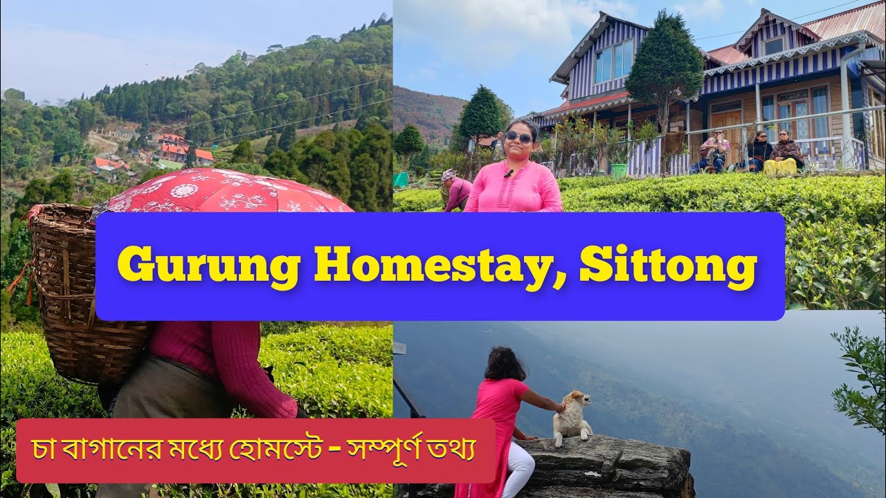 Gurung Homestay Sittong | Sittong Best Homestay Review #sittong # ...