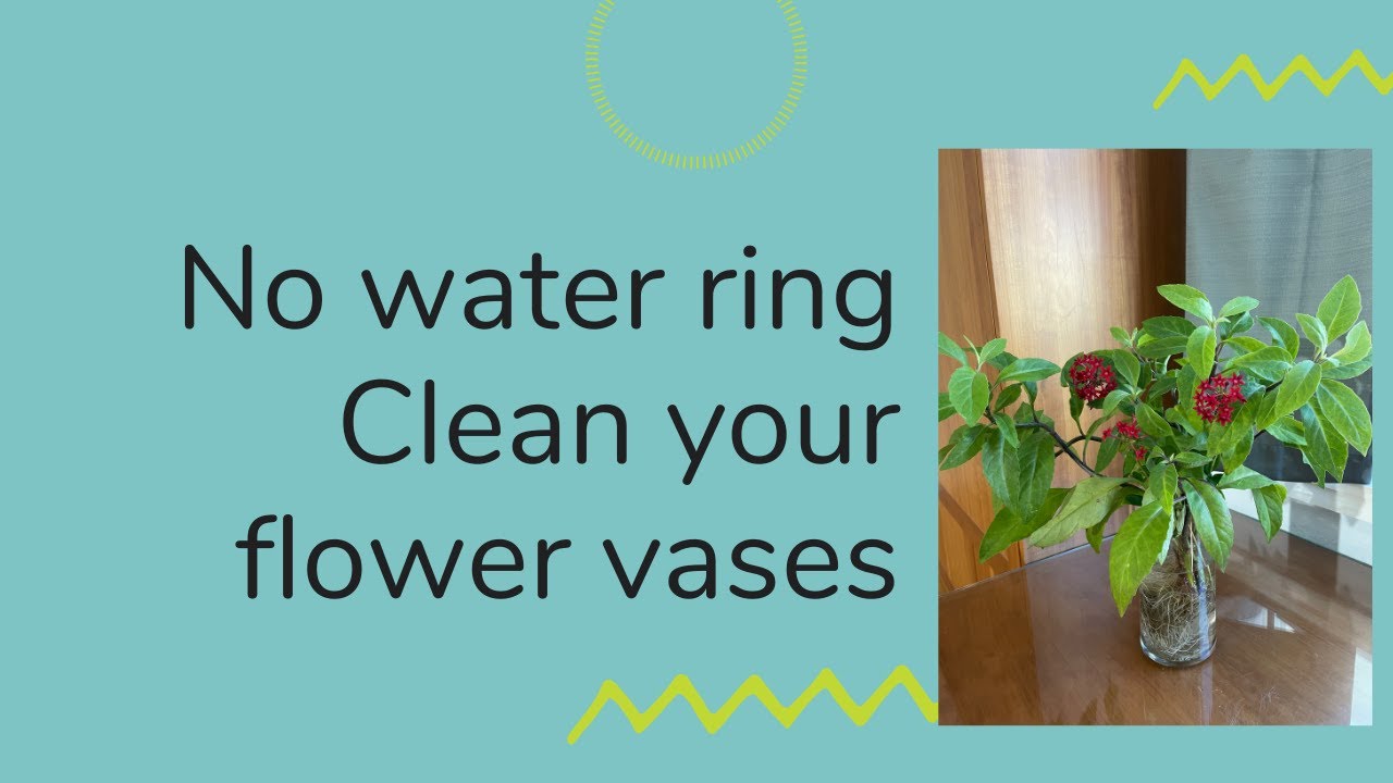 How to clean the water line in flower vases | Savvy Green - YouTube
