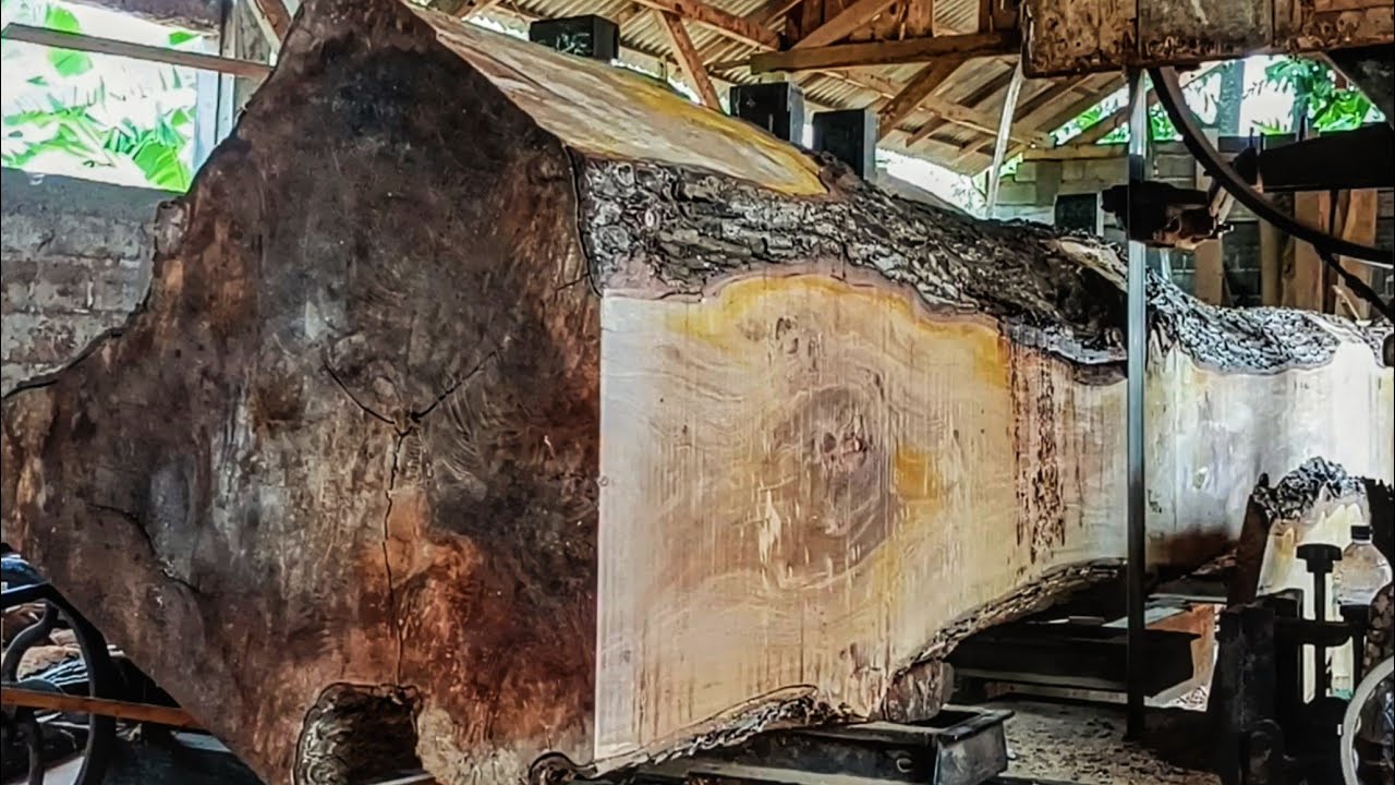 Very stressful! The largest and longest wadang wood sawmill process at ...