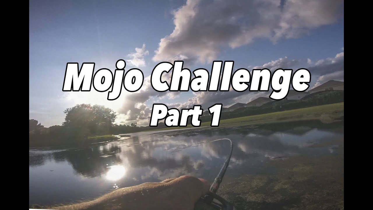 Mojo Rig Fishing Challenge Part 1 - YouTube