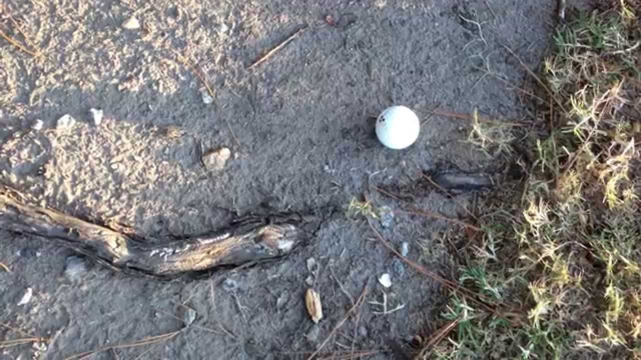 No Root Rule In Golf YouTube no-root-rule-in-golf-youtube