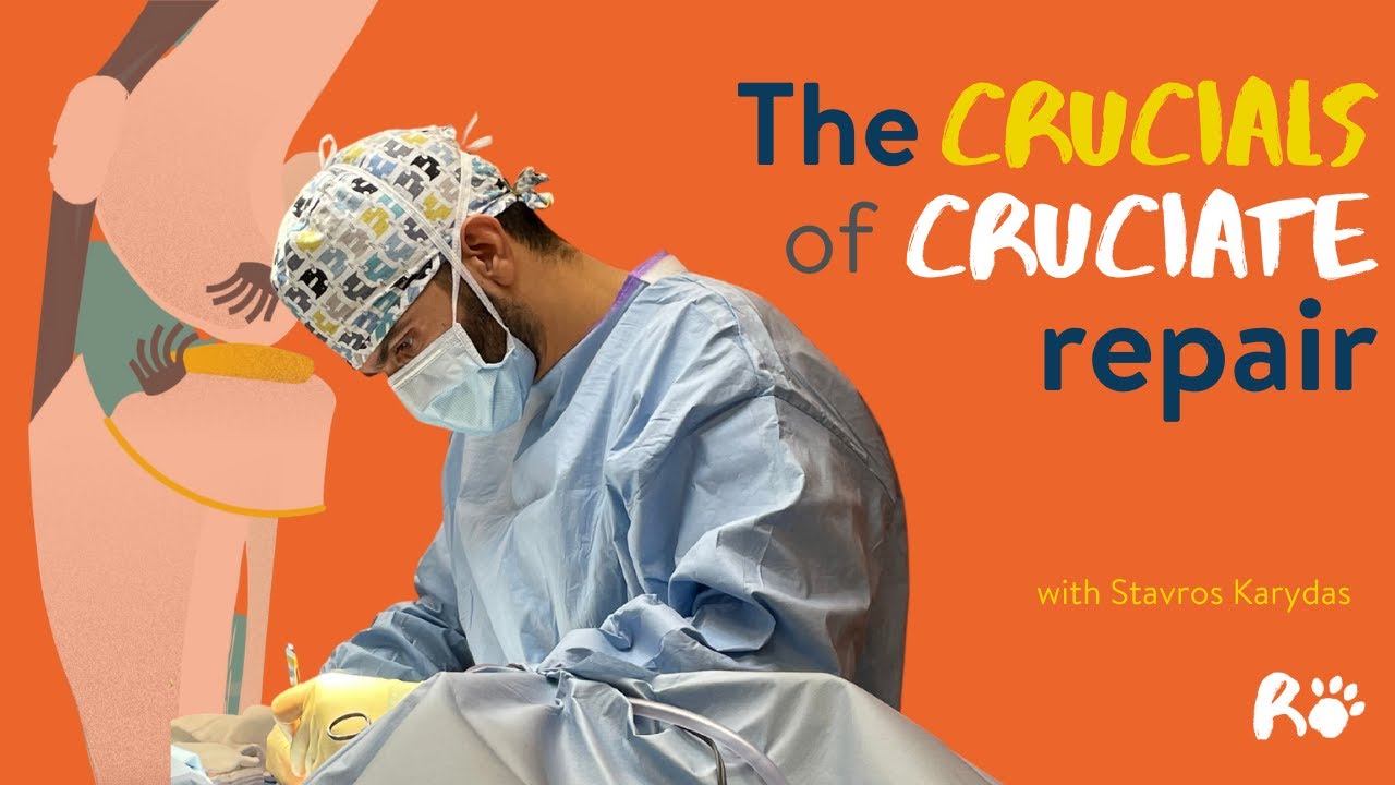 The Crucials of Cruciate Repair - Orthopaedic Surgery CPD - TPLO ...