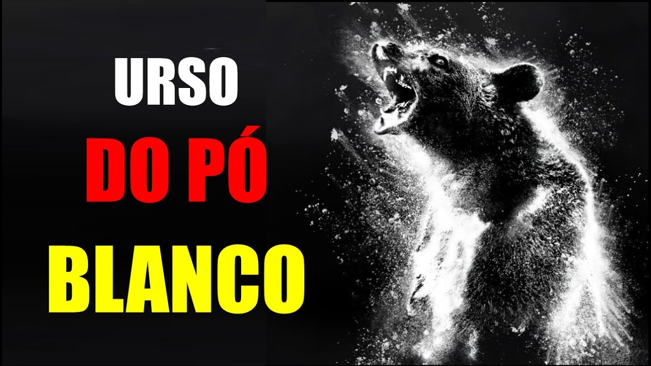 URSO DO PÓ BLANCO | WHITE DUST BEAR - YouTube