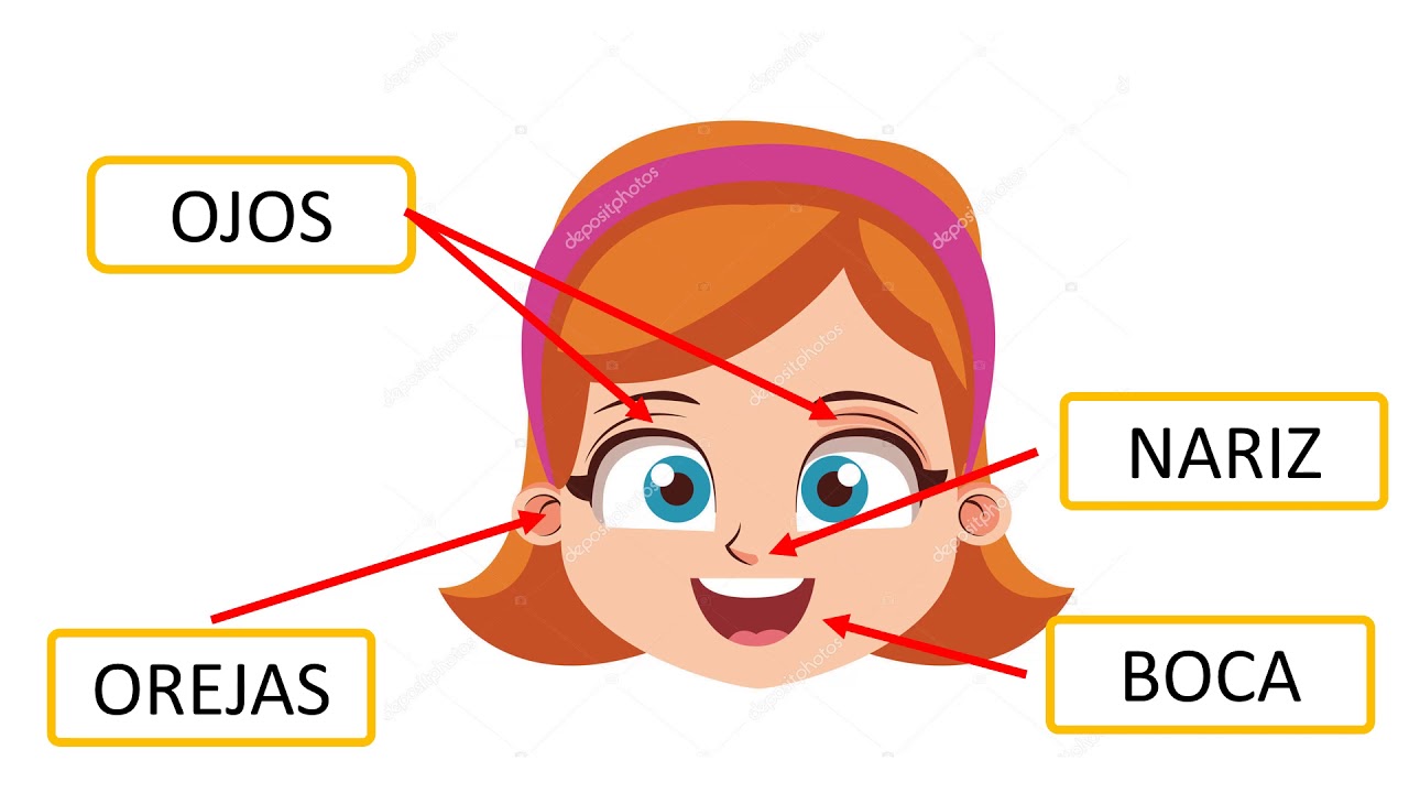 Personal social - conozco las partes de mi cuerpo y mi cara - YouTube