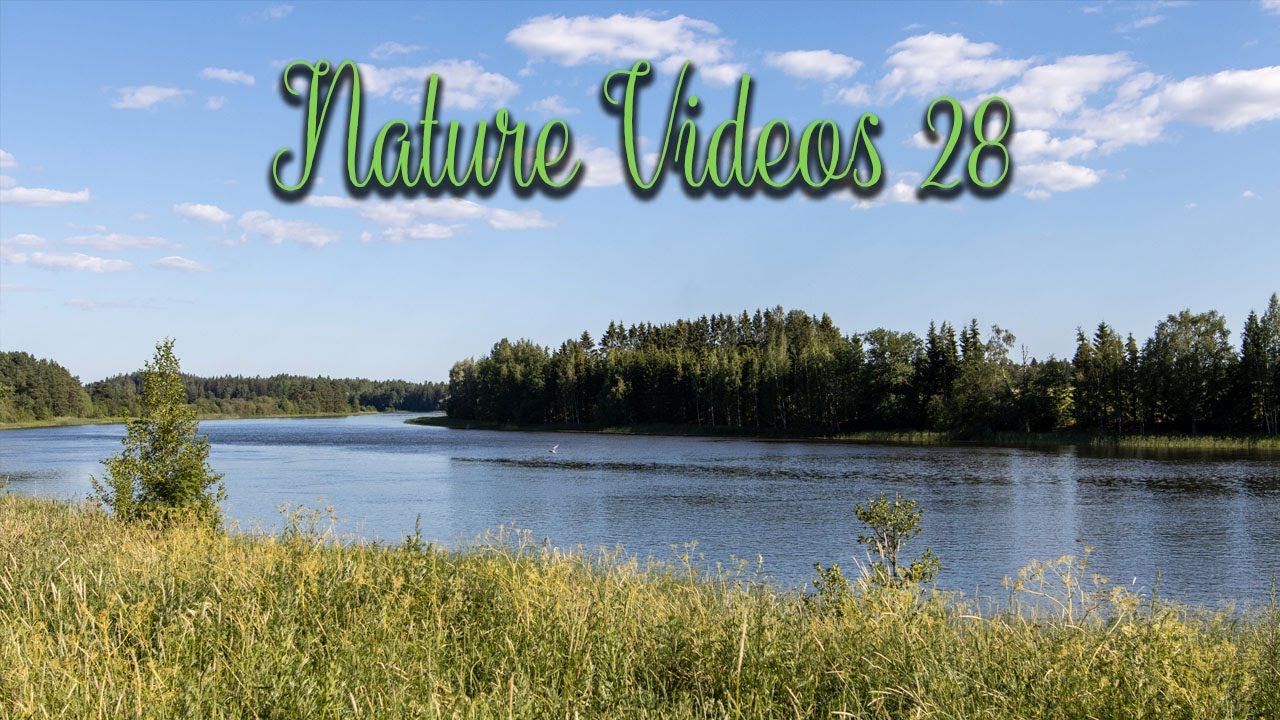 28 Nature Videos - YouTube