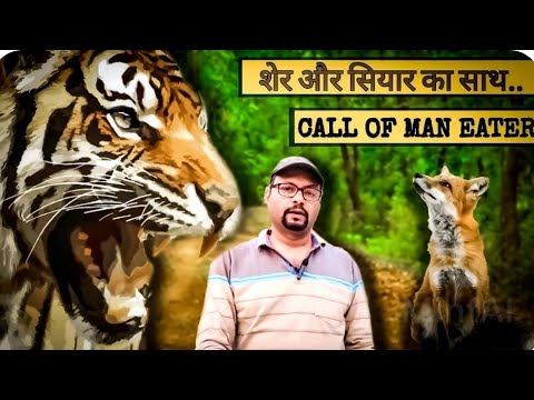 Part 4 Tiger And Jackal Together । Call Of Man Eater Tiger। Kenneth ...