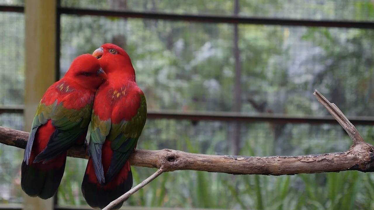 7. Principle of Dual Aspects - YouTube