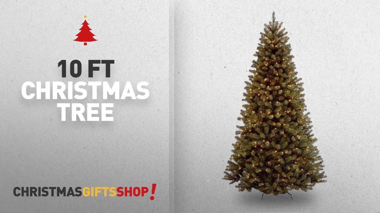 Most Popular 10 Ft Christmas Tree: National Tree 9-Foot North Valley ...
