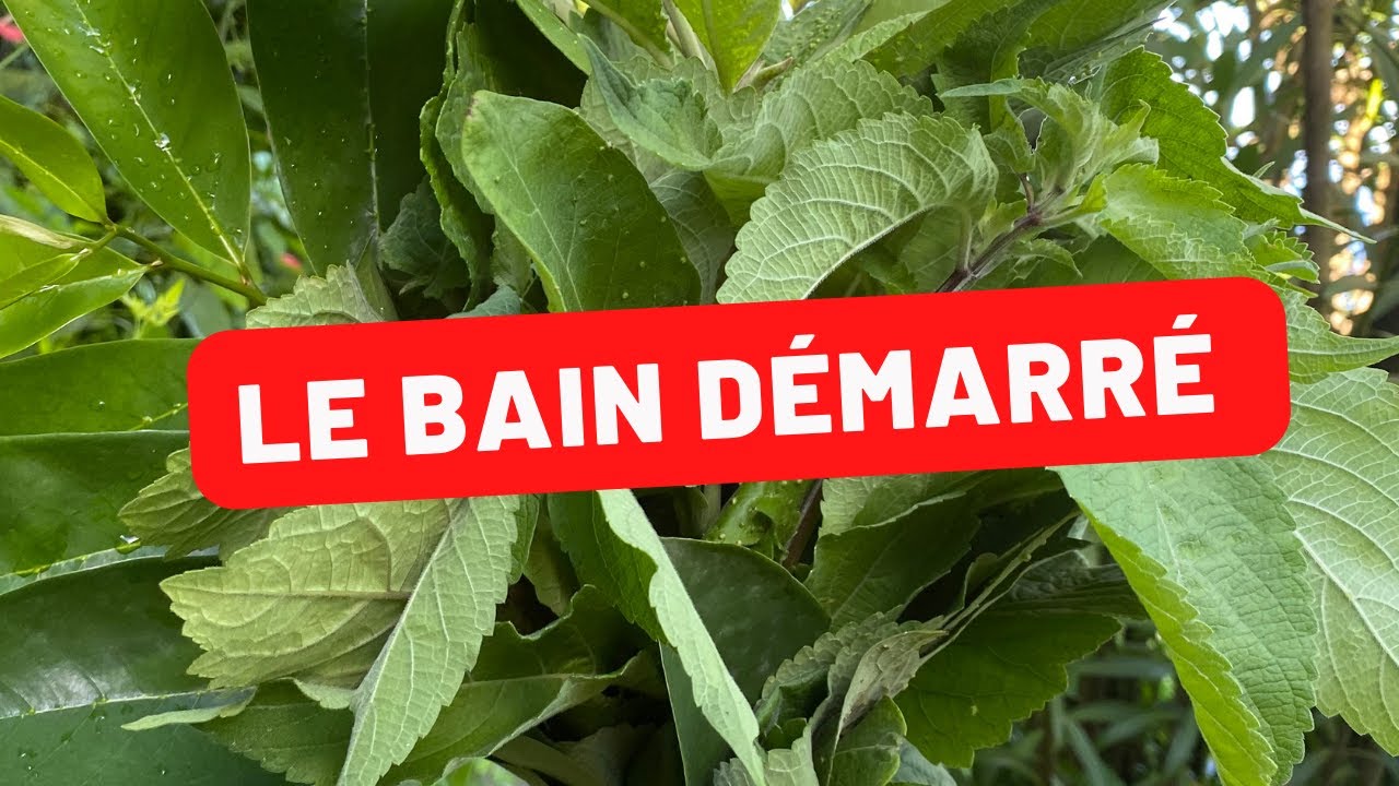 Découvrez les Secrets du Bain Démarré pour un Nouveau Départ ! - YouTube