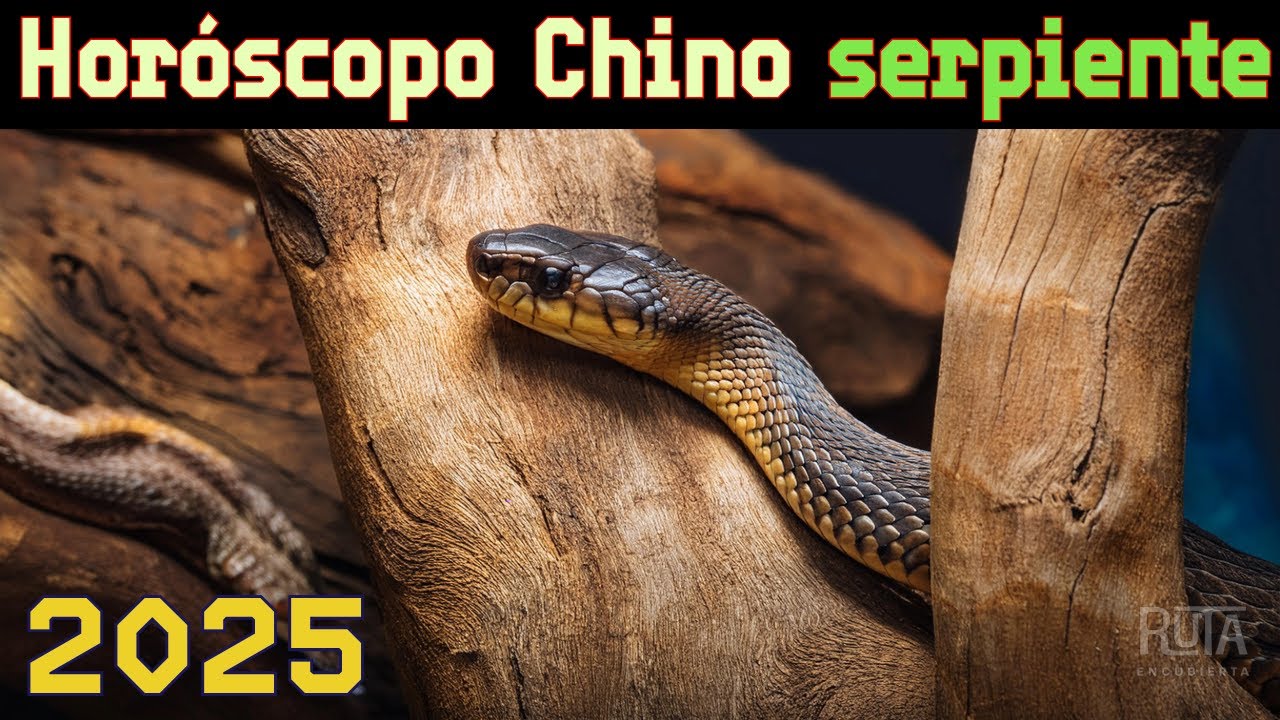 Horóscopo Chino 2025: La Serpiente en su Propio Año - YouTube