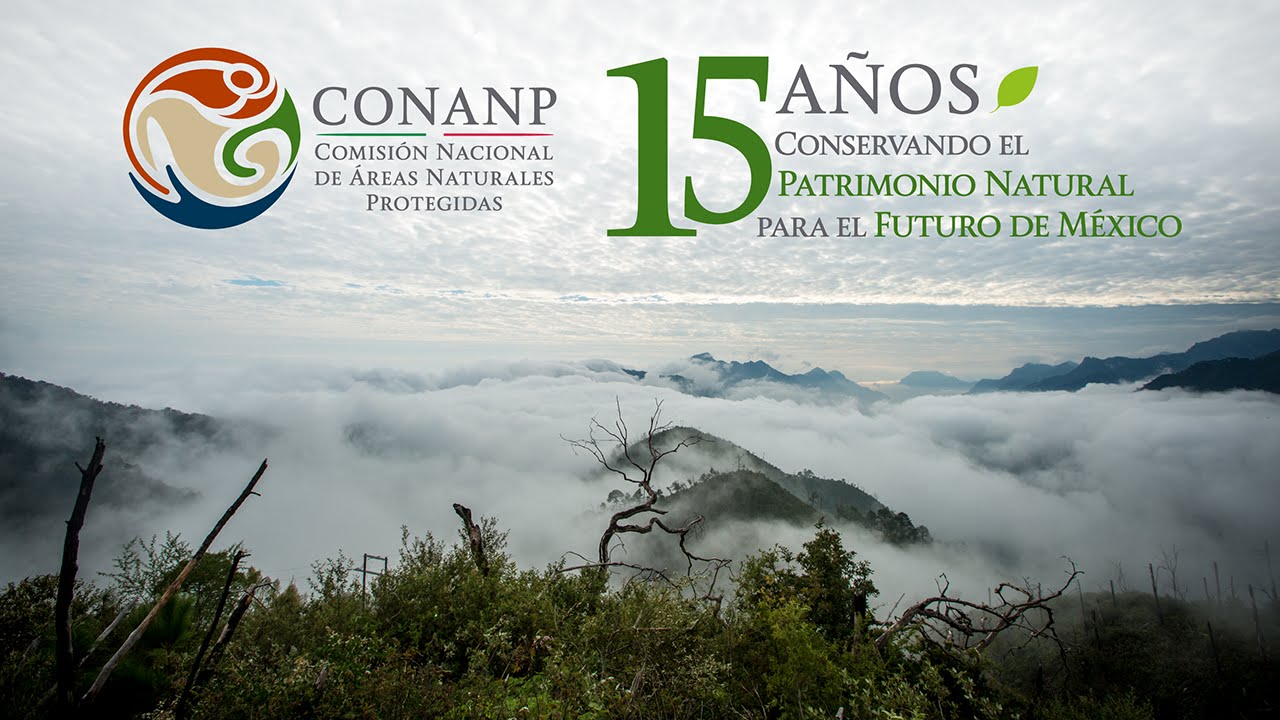 Inician festejos por el 15º Aniversario de la CONANP - YouTube