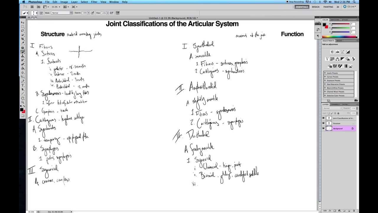 Joint Classifications of the Articular System - YouTube