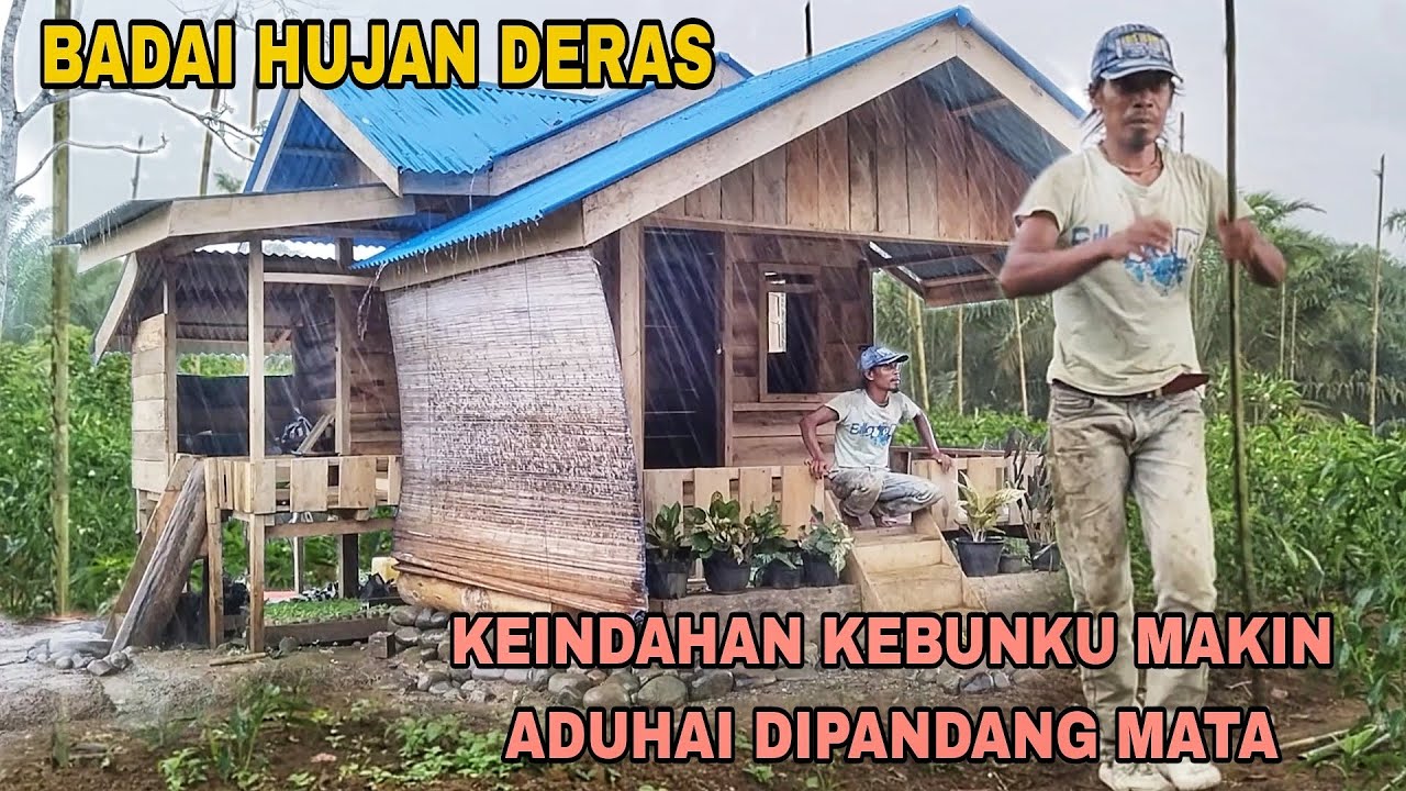 BADAI HUJAN DERAS || KEINDAHAN KEBUNKU MAKIN ADUHAI DIPANDANG MATA ...
