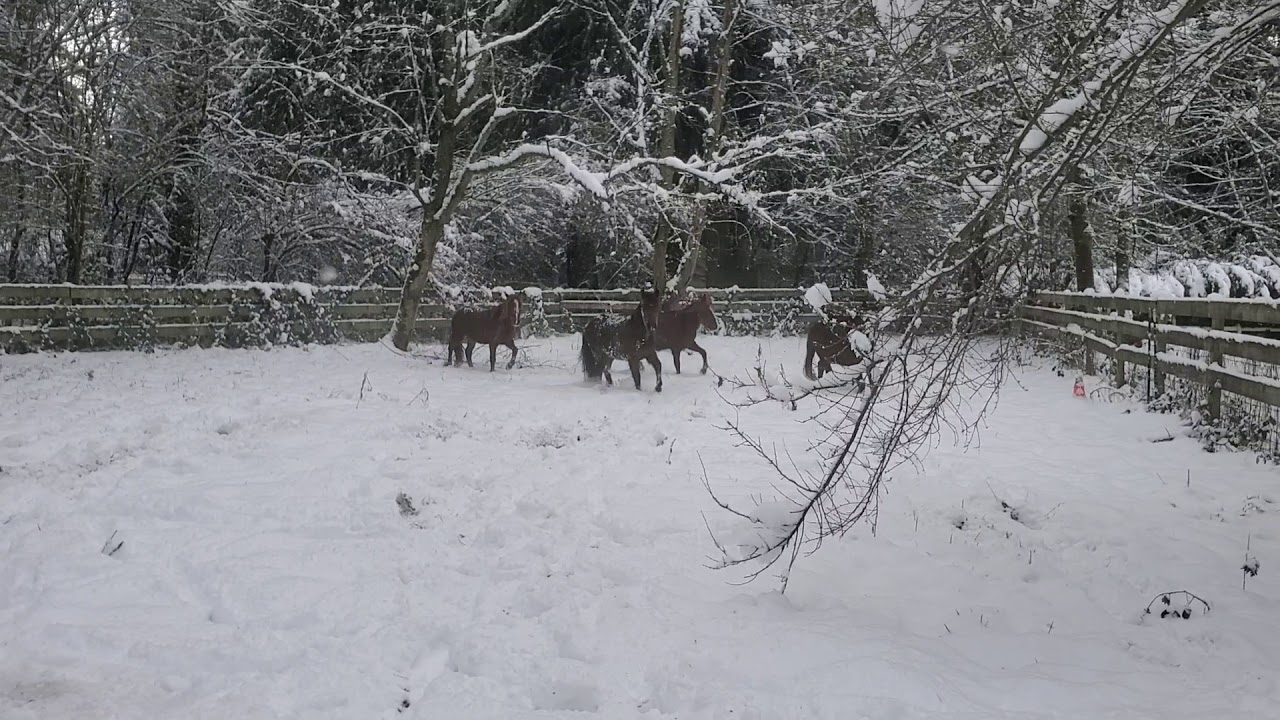 FC40 at home at SAFE - YouTube