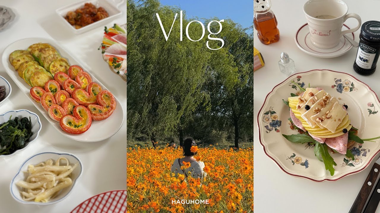 Vlog 고양이 식빵 코스모스 축제 애플 브리치즈 샌드위치 만들기 성균관 명륜당 하트 맛살전andla갈비로 남편 생일상 차리는 일상 브이로그 Youtube