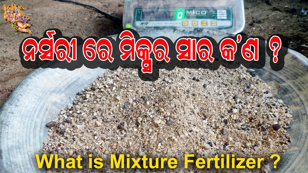 What is Mixture Fertilizer /ନର୍ସରୀ ରେ mixture ସାର କଣ?/Mixture ...