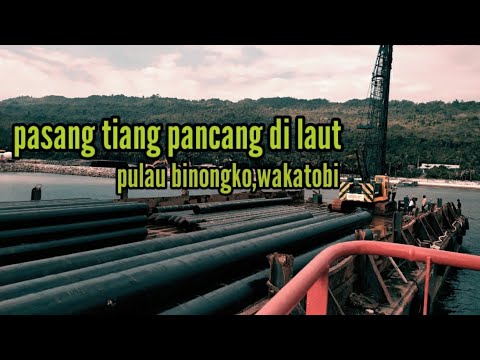 pasang tiang pancang di laut!!! WAKATOBI - YouTube