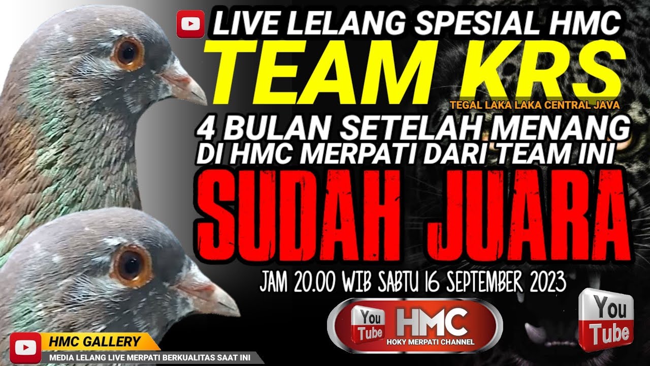 LIVE LELANG TEAM KRS TEGAL//MERPATI LOVERS//MERPATI KOLONG//MKT CHANNEL ...