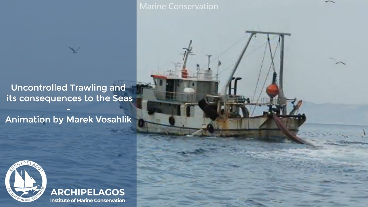 Uncontrolled Trawling and its consequences to the Seas - Animation by ...
