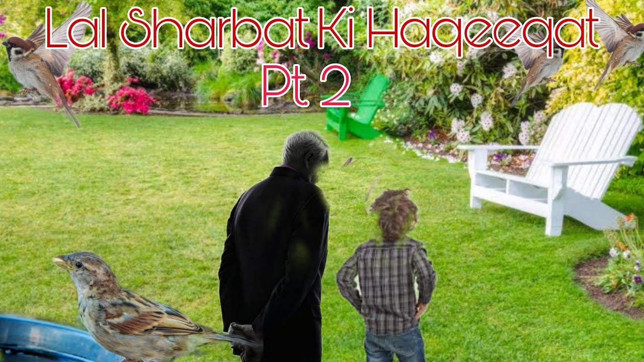 Lal Sharbat Ki Haqeeqat Pt. 2 |Story Time With Khala| - YouTube