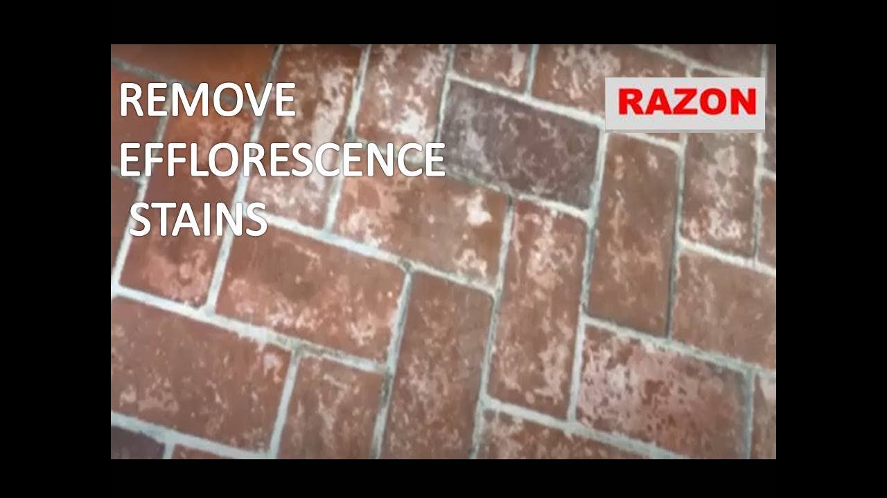 HOW TO REMOVE EFFLORESCENCE | EFFLORESCENCE REMOVER INDIA ...