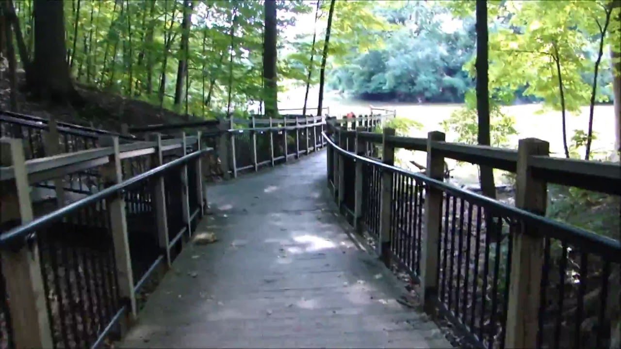 Carpenter Lake Nature Preserve, Southfield, MI August 2015 - YouTube