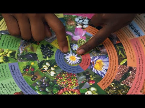 Explaining Indigenous Australian seasons - YouTube