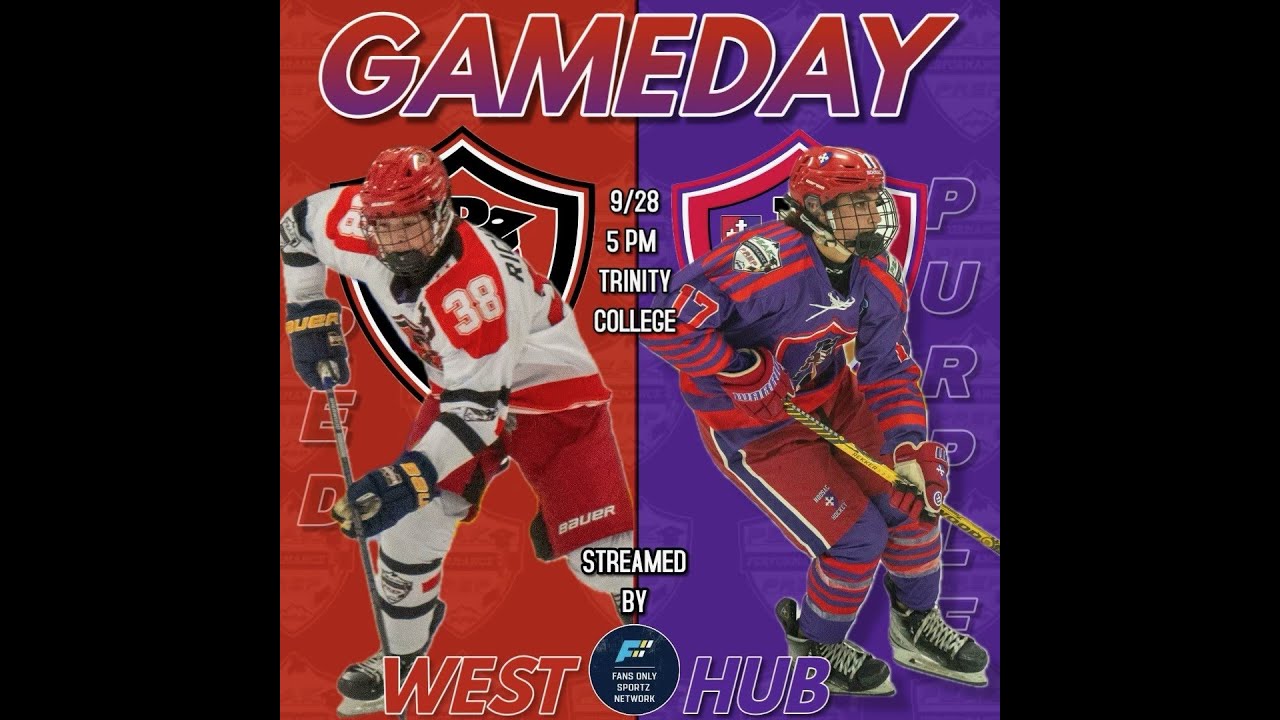 PPP Hockey: Red vs Purple - YouTube