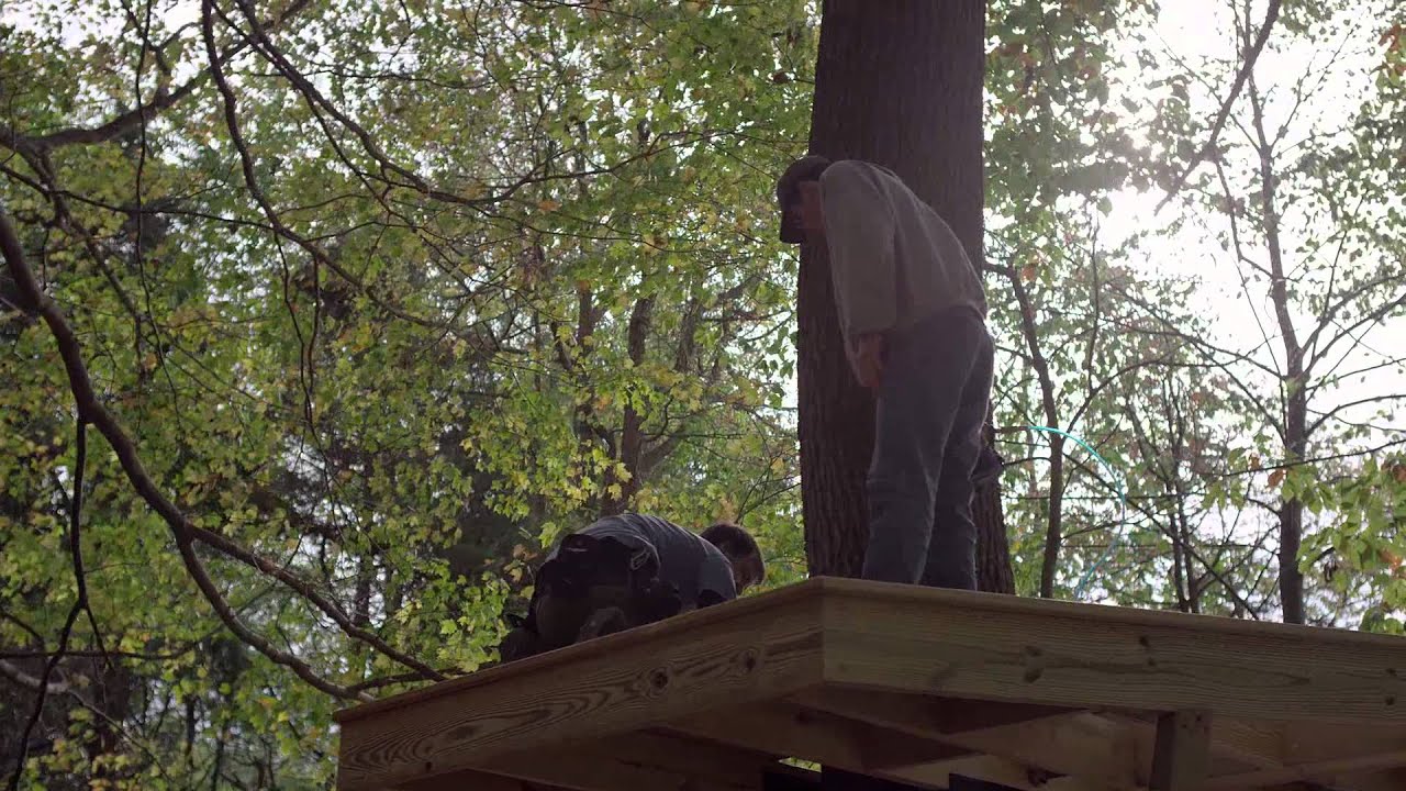 Economic Impact Story: The Tree House Brothers - YouTube
