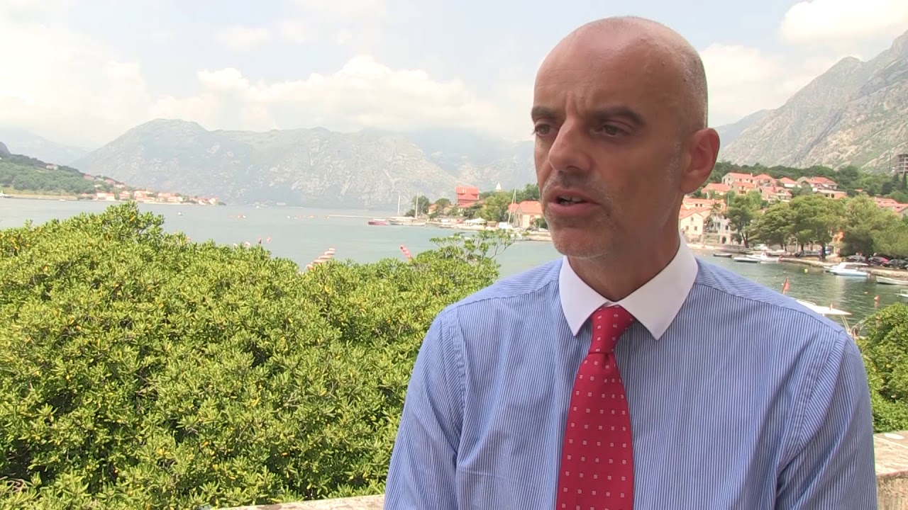 Dr Radoje Laušević, radionica "Održivo ribarstvo"-Monteaqua projekat ...
