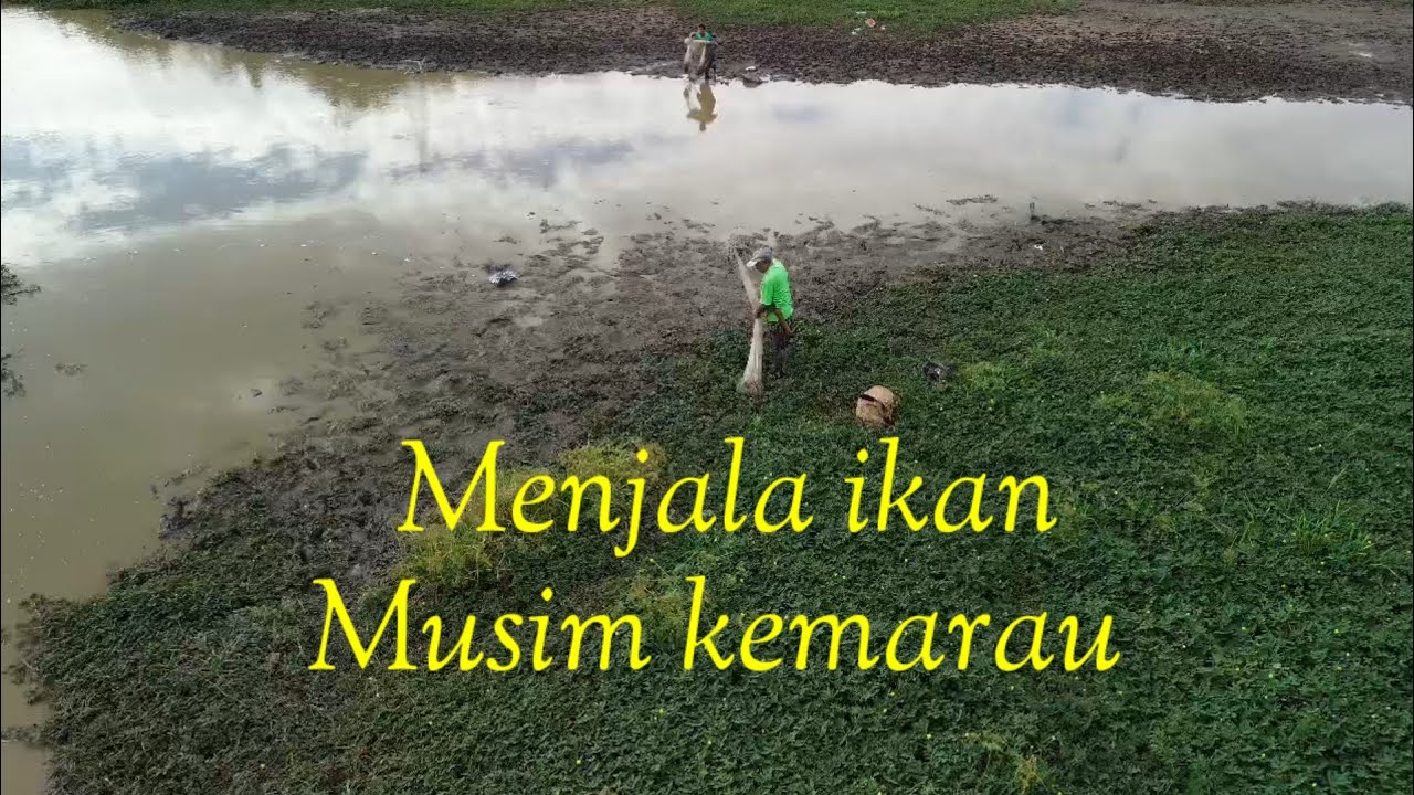 pemandangan cantik kawasan perkampungan || mata burung - YouTube