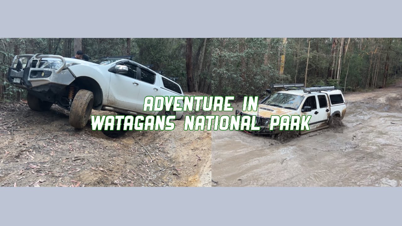 Exploring the Watagans National Park 4x4 (& the undefeated bog hole ...