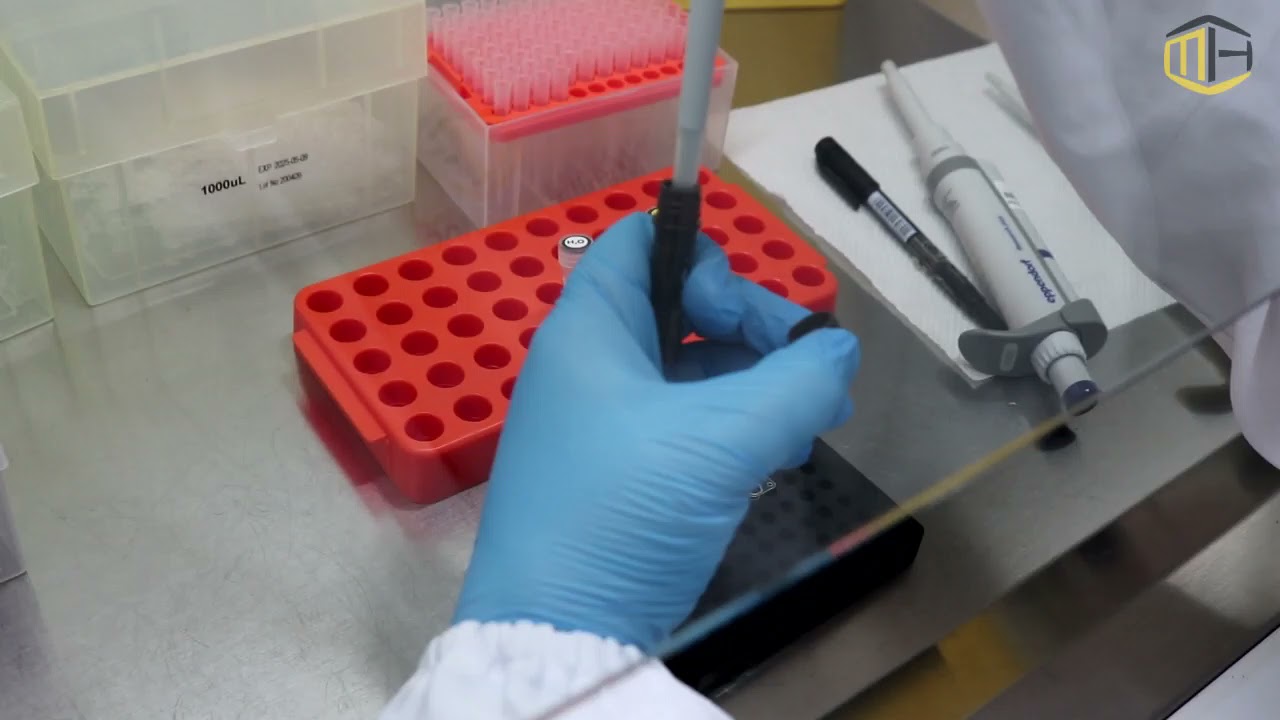 GenAmplify™ African Swine Fever PCR Detection Kit - YouTube