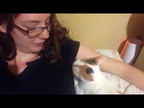 Gross Cat Can't Stop Licking My Armpit...