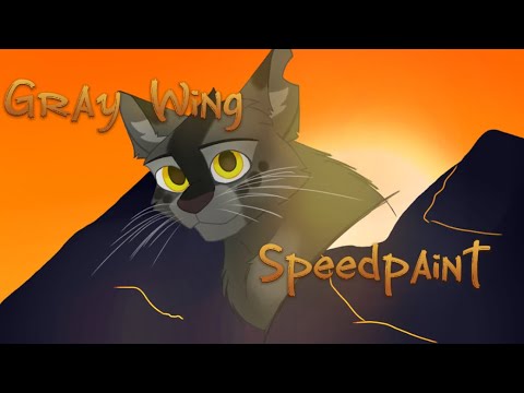 Warrior Cats Gray Wing Speedpaint #warriorcats - YouTube
