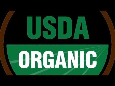 GMOs Presentation - YouTube