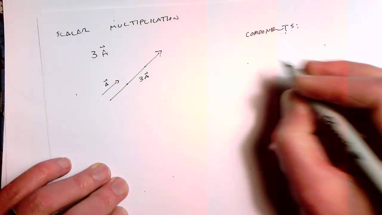 Multiplying a vector by a scalar - YouTube