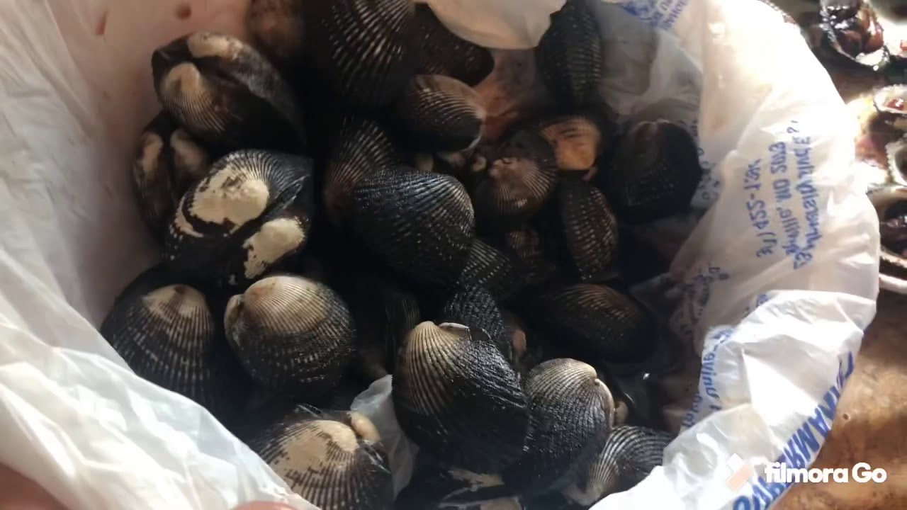 Rico Cocktail de curiles - YouTube