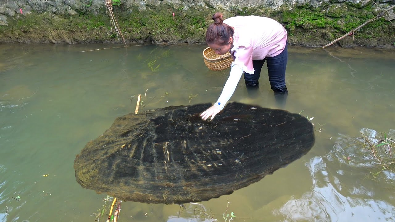It's too shocking. After opening a few big clams, there are hundreds of ...