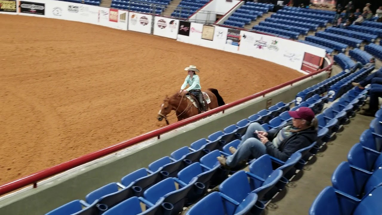 Erin Bledsoe and Feather Oak NRCHA NonPro Limited Rein work 021619 ...