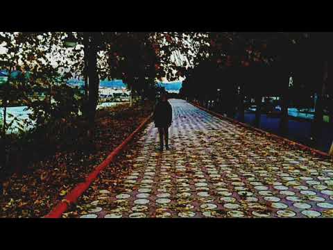 ''Taşova Şiiri'' Aydemir ARABACI