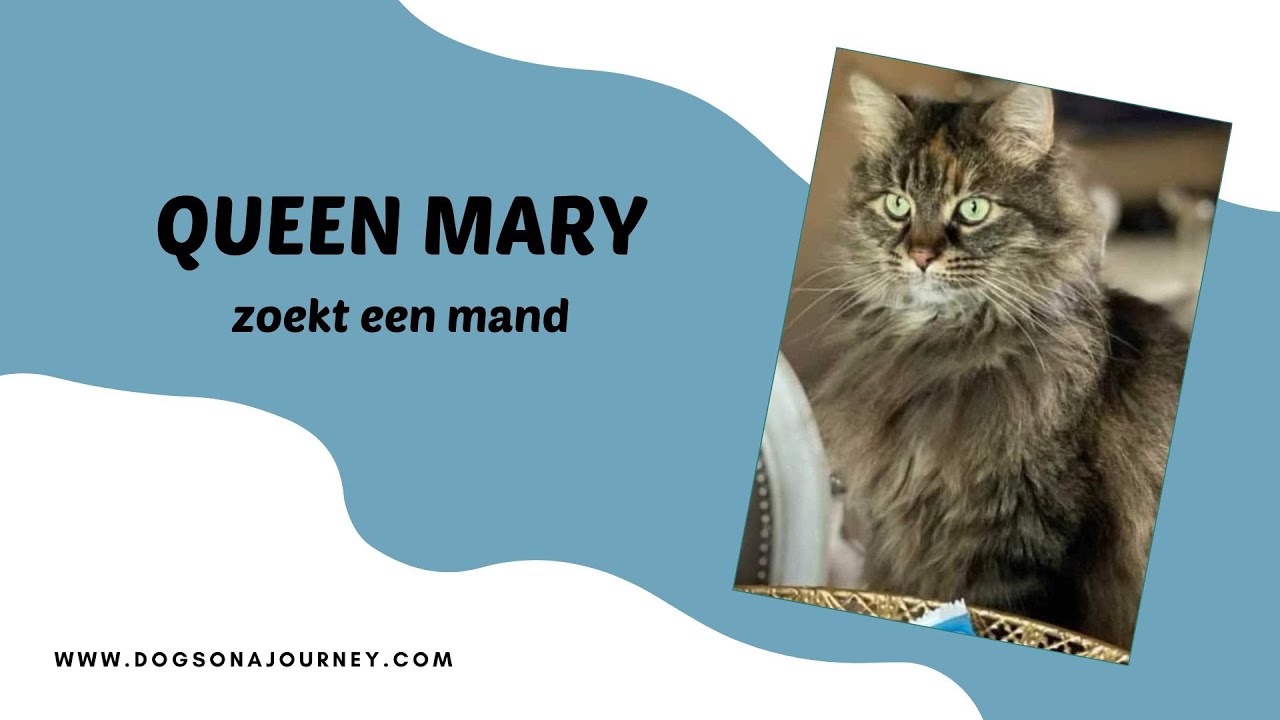 Queen Mary zoekt een mand - YouTube