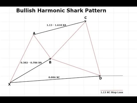 Breakdown of the Harmonic Shark Pattern - YouTube